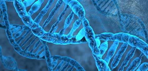 Time To Step Inside Your DNA University Of Oxford