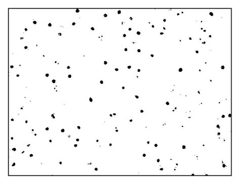 Example Of Binarisation And Pruning Filtering After Segmentation Of Download Scientific