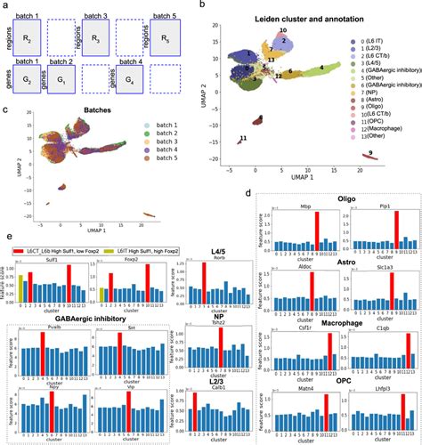 Results On Mouse Brain Cortex Dataset A Layout Of Input Data Matrices Download Scientific