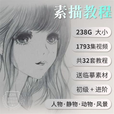 玥玥隨身聽素描教程零基礎視頻教學手繪畫入門自學課程人像幾何靜物全套2554 蝦皮購物