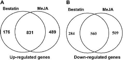 Diagrams Of The Number Of Overlapping Or Nonoverlapping Genes Download Scientific Diagram