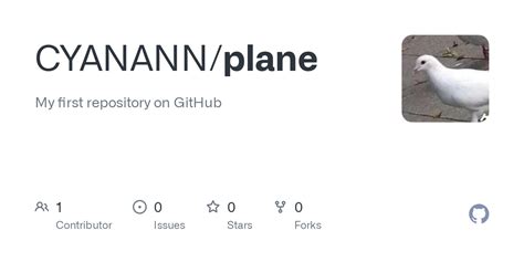 Github Cyanannplane My First Repository On Github
