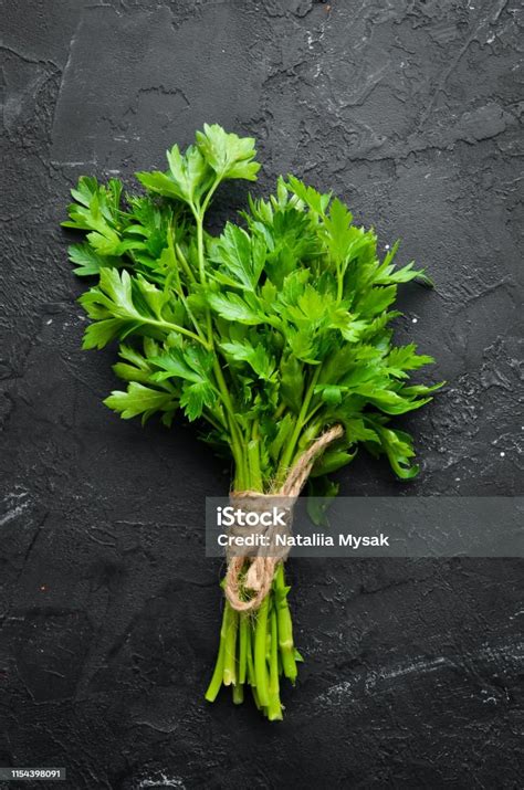 검은 돌 배경에 녹색 파 슬 리 평면도 텍스트를 위한 여유 공간 딜 허브에 대한 스톡 사진 및 기타 이미지 딜 허브