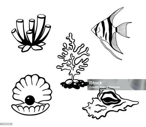 손으로 그린 산호 조개 흰색에 고립 된 진주 실루엣 아이콘은 수중 생명 요소 선 벡터 일러스트 레이 션 세트 개체 그룹에 대한 스톡 벡터 아트 및 기타 이미지 Istock