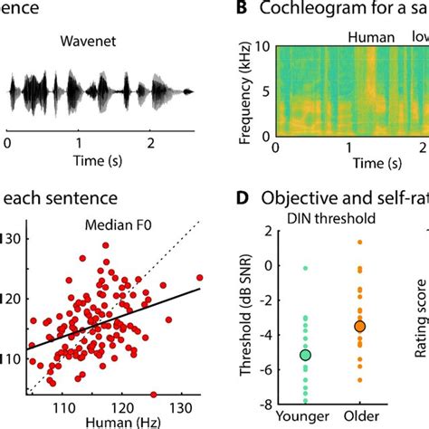 intelligibility results and speech in noise thresholds for experiment
