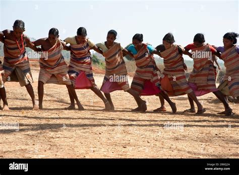 Gadaba Tribal Women Performing Dance Jeypore Orissa India Stock