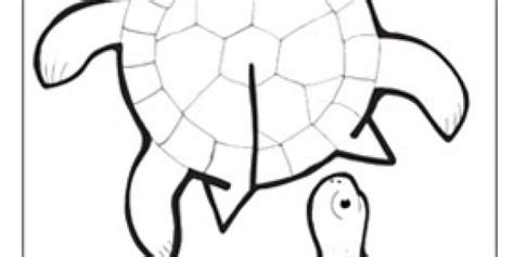 کاردستی لاک پشت پرینتی با کاغذ رنگی