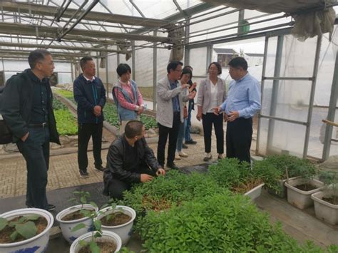 院蔬菜所召开设施蔬菜病虫害防控技术培训交流会 苏州市农业科学院官方网站