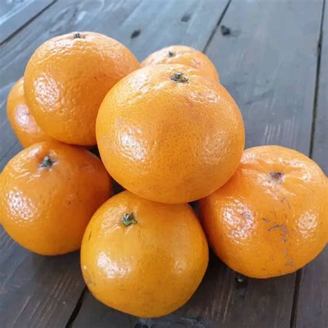 Oranges Astrum International
