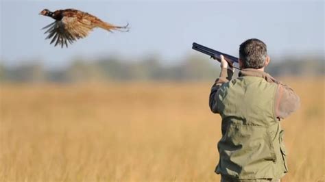 Ouverture Officielle De La Saison De Chasse 2024 2025 H24info