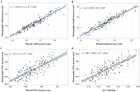 High Throughput Phenotyping Application In Maize Breeding