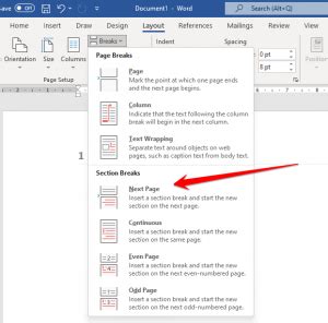 How To Insert Roman Numerals And Page Numbers In Word Software Accountant
