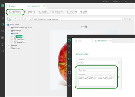 Set Alt And Title Text