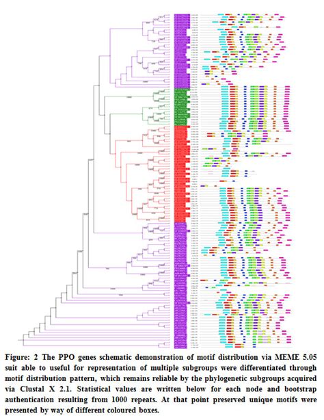 Genome Wide Identification And Expression Analysis Of Ppos And Pox Gene Families In The Selected