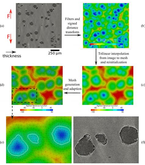 Image Immersion And Meshing A Initial Laminography 2d Section B Download Scientific