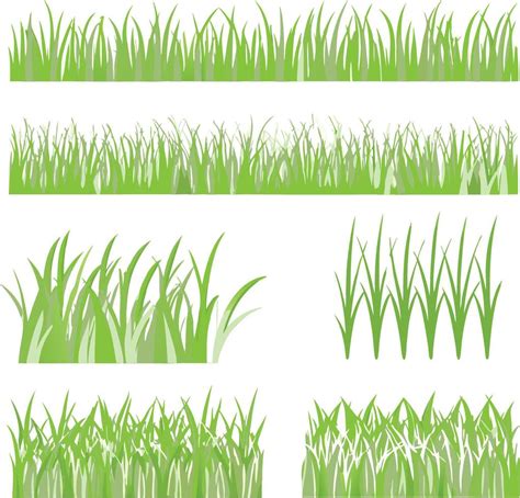 Collection Of Various Green Grass S For Design Elements And Nature