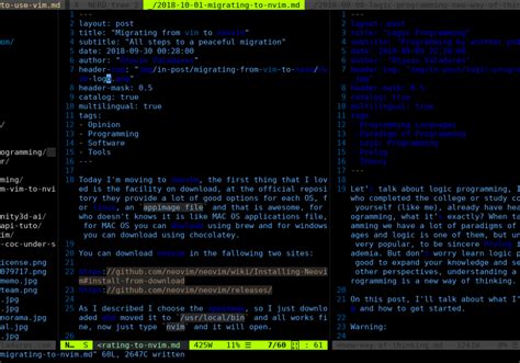 Migrating From Vim To Neovim O Valadares Blog