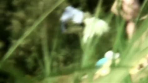 Couple Sex Spyied On River Beach Voyeur Eporner