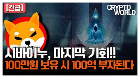 단독 시바이누 마지막 기회 100만원 보유 시 100억 부자된다 시바이누 시바이누분석 시바이누단타 도지코인 추천코인 Youtube