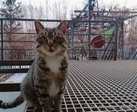 Opencv人体检测mob6454cc70219b的技术博客51cto博客