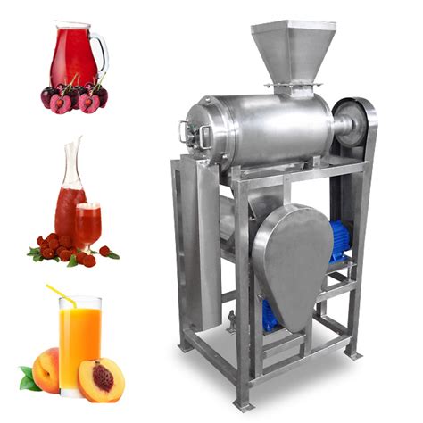 Palm Juice Extractor Machine High Speed Fruit Seed Pit Removing Juicing