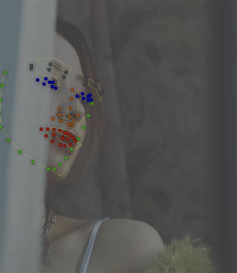 DeepFaceLab On MacOS Part Scene Selector