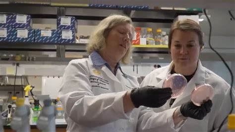 Rapid Lyme Disease Test Coming To A Doctors Office Near You Ivanhoe Broadcast News Inc