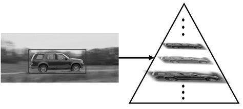 Construction Of A Multi Scale Pyramid Download Scientific Diagram