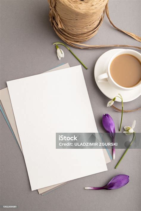 봄 스노우드롭 크로커스와 갈란투스 꽃 회색 배경에 커피 한 잔이 있는 백서 시트 모형 빈 명함 상단 보기 평면 평지 복사 공간 정물 봄 컨셉 0명에 대한 스톡 사진 및 기타
