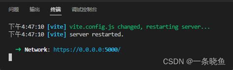 vite vue ipv6访问web vite ipv6 csdn博客