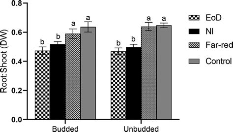Rootshoot Ratio Of Citrus Nursery Trees During Different Photoperiods