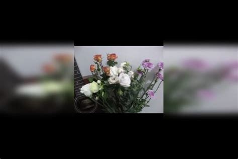 披星戴月路过山水万城祝自己与温柔重逢