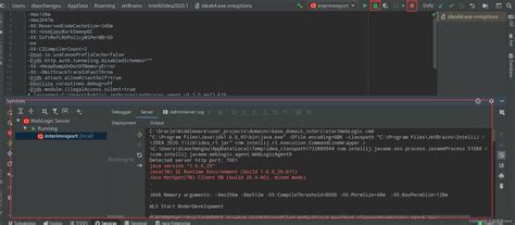 Idea使用问题 001（启动项目不显示加载页面）idea热加载按钮不显示 Csdn博客