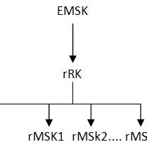 The ERP Key Hierarchy Download Scientific Diagram