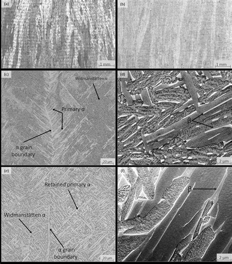 Typical Macrostructure And Microstructure At A Longitudinal