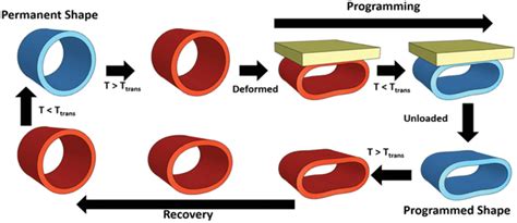 Schematic Of A One Way Shape Memory Cycle Red Color Indicates Material Download Scientific