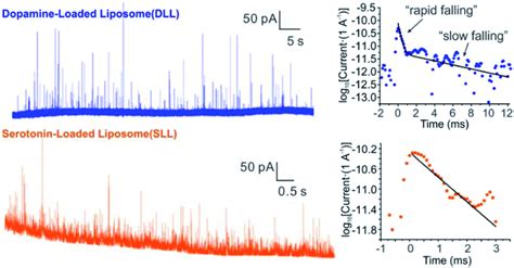 Traces For Viec Of Dll Blue Line And Sll Orange Line With A Typical Download Scientific