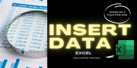 Enter Data In Excel By Gerlisbethgarce Fiverr
