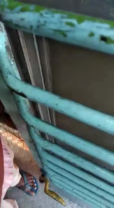 Anil Poddar Posted On Linkedin