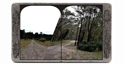 Displaced Traces In The Landscape Vivienne Dadour