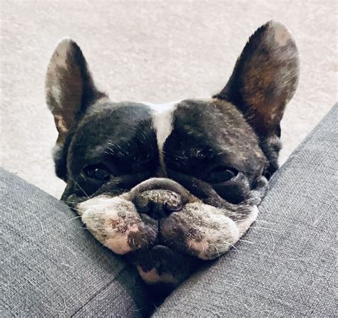 What Is AsyncAPI Bump Sh Docs Guides