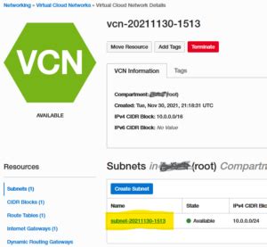 HOWTO Allow Ping And Traceroute And MTR ICMP To Oracle Cloud Vm Instances And Generally