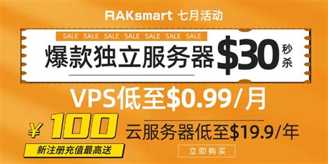 Raksmart国外服务器评测 美国香港日本服务器租用 Raksmart优惠码