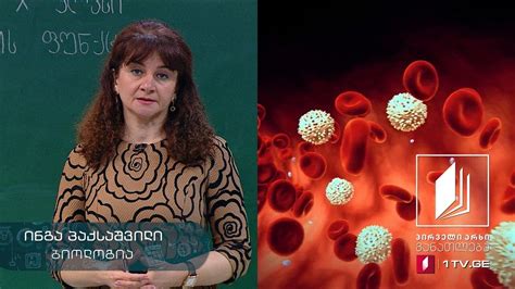 ბიოლოგია X კლასი სისხლი და იმუნიტეტი ტელესკოლა Youtube