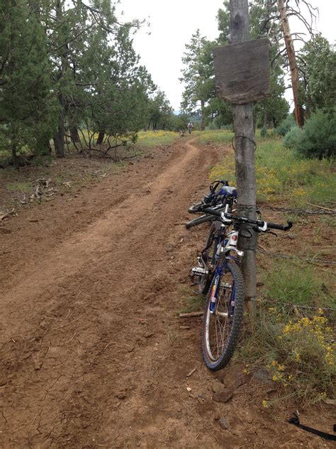 무료 이미지 꼬리 차량 흙 스포츠 장비 경마 2013365 무임 승차 사이클 스포츠 내리막 산악 자전거 산악 자전거 경주 크로스 컨트리 사이클링