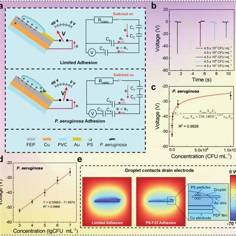 Rf Energy Harvesting Circuit Using Π Type Matching Network Download Scientific Diagram