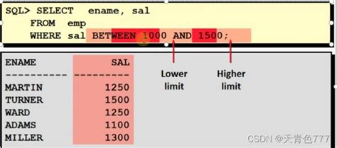 数据库基本操作大全数据库的基本操作 Csdn博客