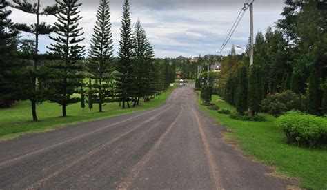 ขายที่ดินอยู่ใน เขาค้อไฮแลนด์ ตำบลแคมป์สน อำเภอเขาค้อ จังหวัดเพชรบูรณ์