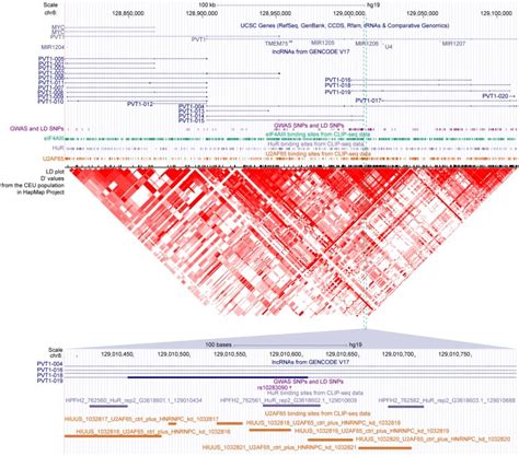 Integrating Large Scale RNA Seq And CLIP Seq Datasets Enables Study Of LncRNA RNA Seq Blog