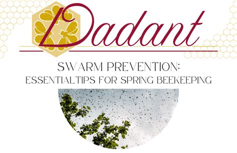 Swarm Prevention Essential Tips For Spring Beekeeping Beekeeping Learning Center Dadant